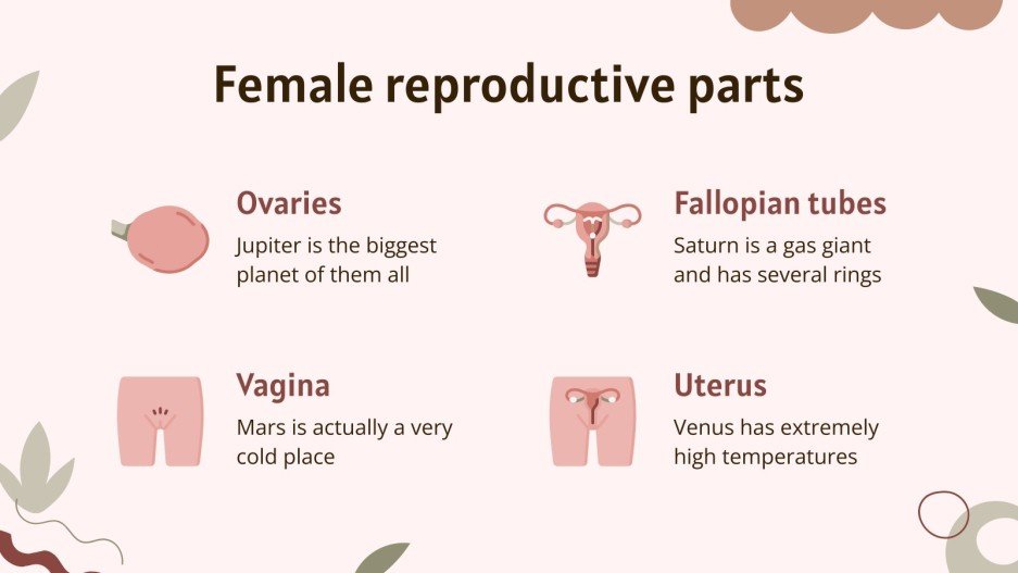Science Subject for Elementary: Reproductive System
