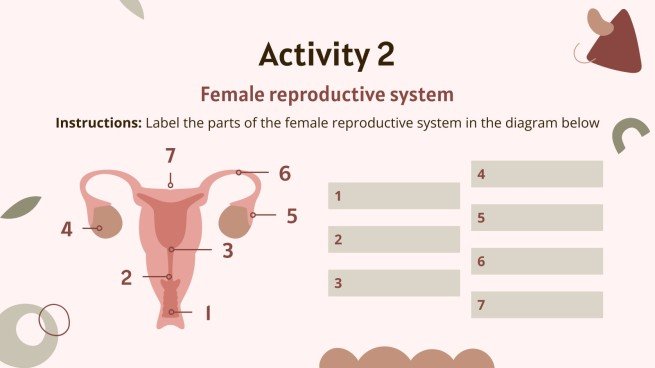 Science Subject for Elementary: Reproductive System