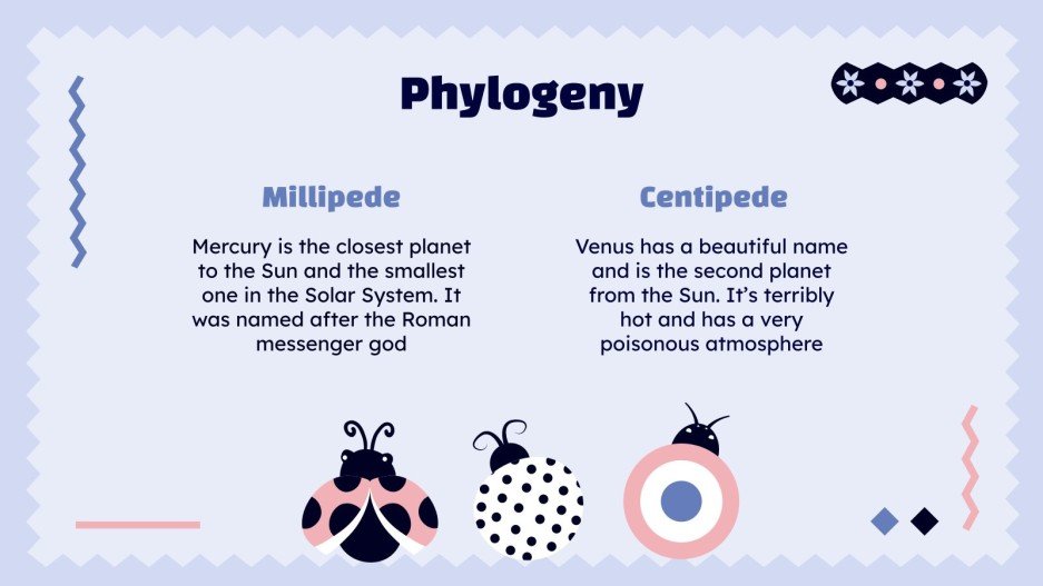 Science for Middle School: Insects | Google Slides & PPT
