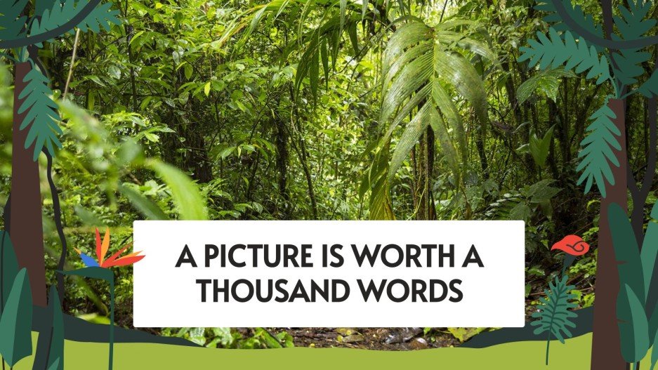 Minitema - Descubra a Amazônia | Google Slides e PPT