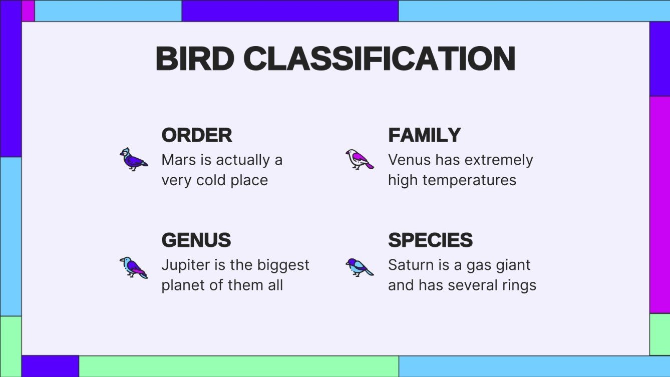Biology Subject for Elementary School: Bird Classification
