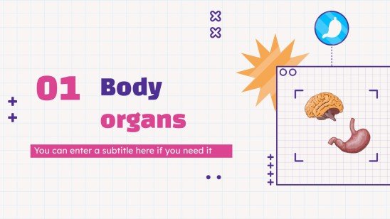 Science: Internal Organs of the Human Body Activities