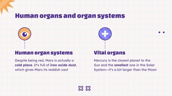 Science: Internal Organs of the Human Body Activities
