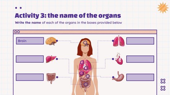 Science: Internal Organs of the Human Body Activities