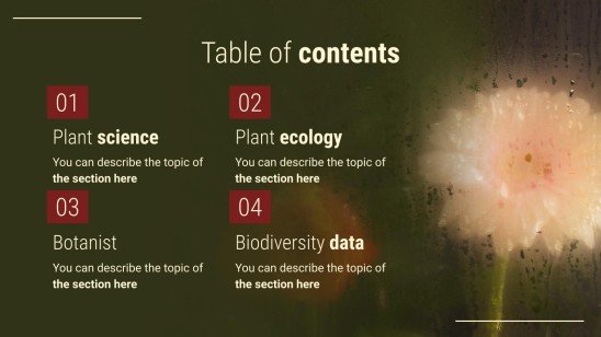 Botany Workshop | Google Slides & PowerPoint template