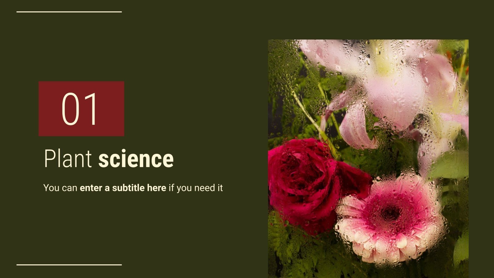 Botany Workshop | Google Slides & PowerPoint template