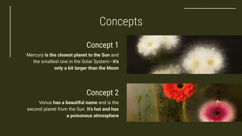 Botany Workshop | Google Slides & PowerPoint template