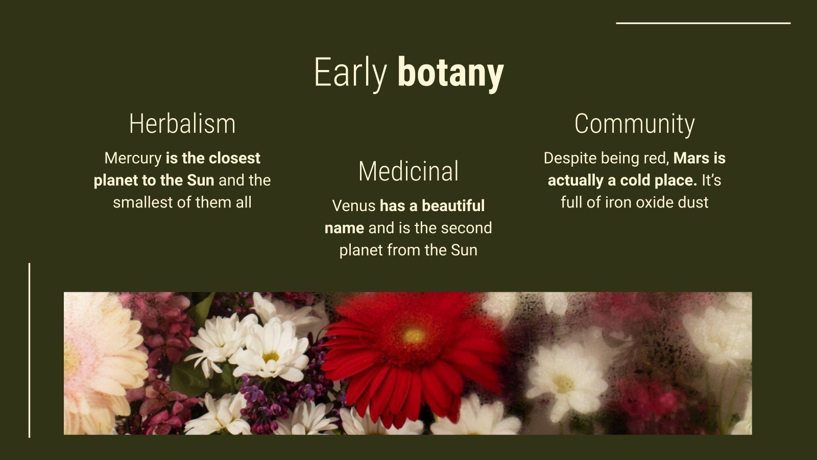 Botany Workshop | Google Slides & PowerPoint template