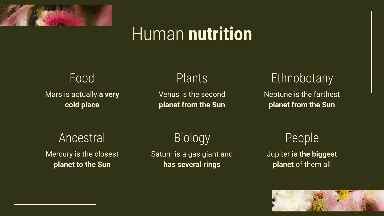 Botany Workshop | Google Slides & PowerPoint template