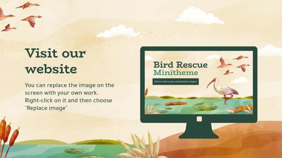 Bird Rescue Minitheme | Google Slides & PowerPoint