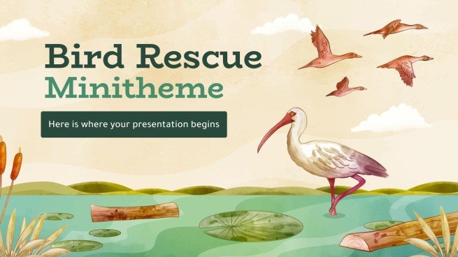 Free bird-based Google Slides & PowerPoint Templates