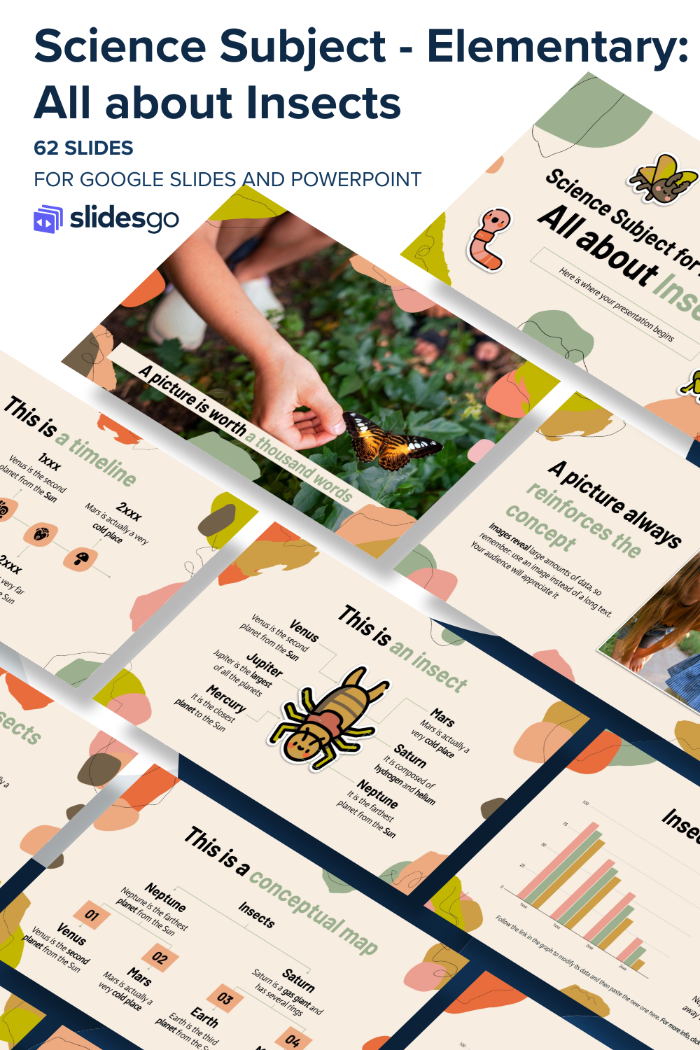Science Subject for Elementary: All about Insects