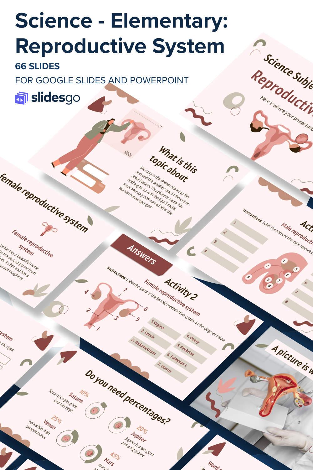 Science Subject for Elementary: Reproductive System