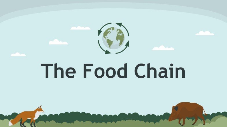 The Food Chain | Google Slides & PowerPoint