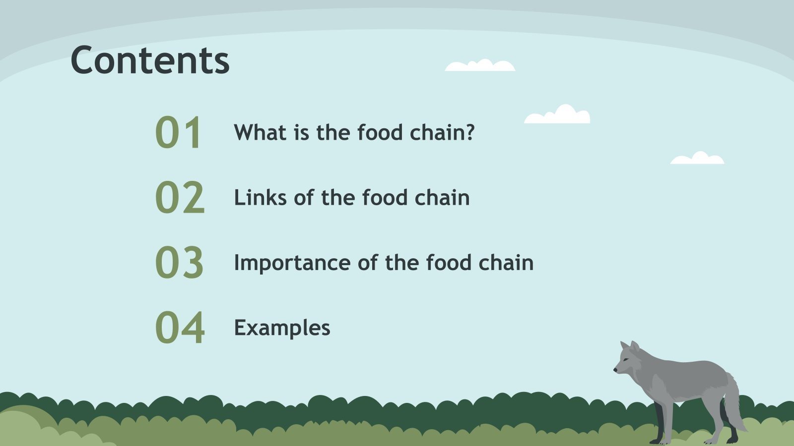 The Food Chain | Google Slides & PowerPoint