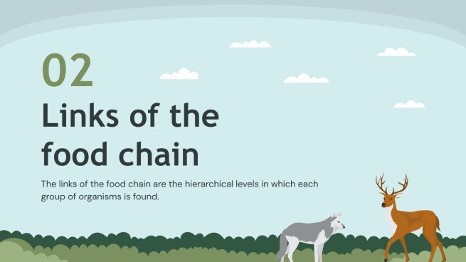 The Food Chain | Google Slides & PowerPoint