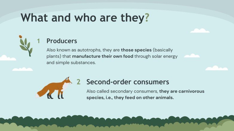 The Food Chain | Google Slides & PowerPoint