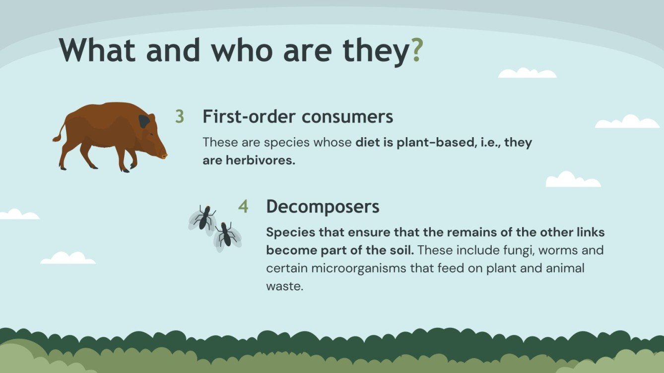 The Food Chain | Google Slides & PowerPoint