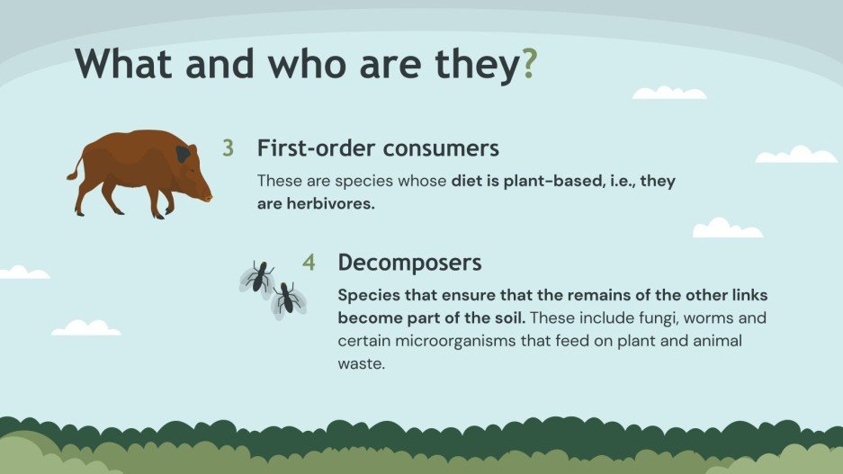 The Food Chain | Google Slides & PowerPoint