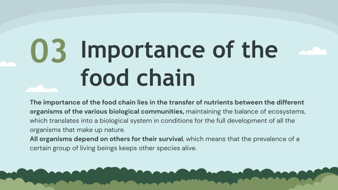 The Food Chain | Google Slides & PowerPoint