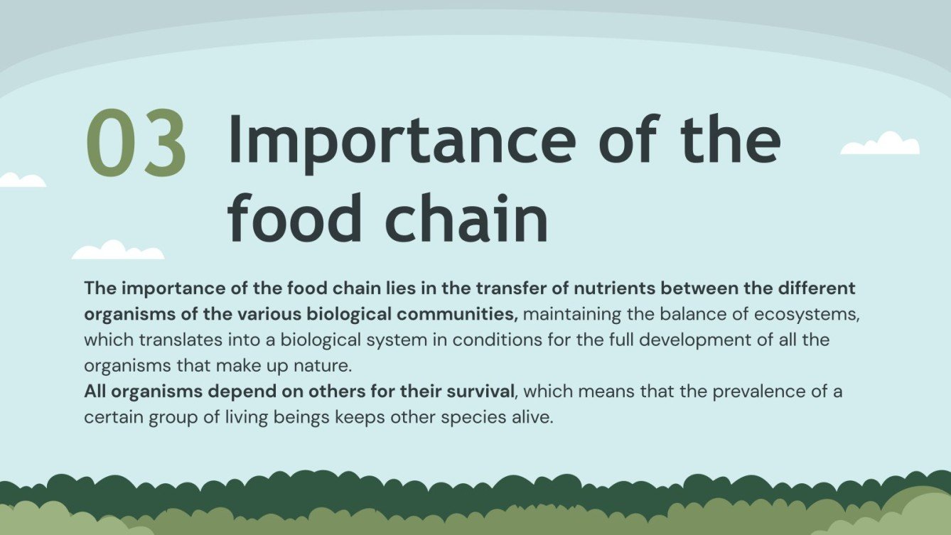 The Food Chain | Google Slides & PowerPoint