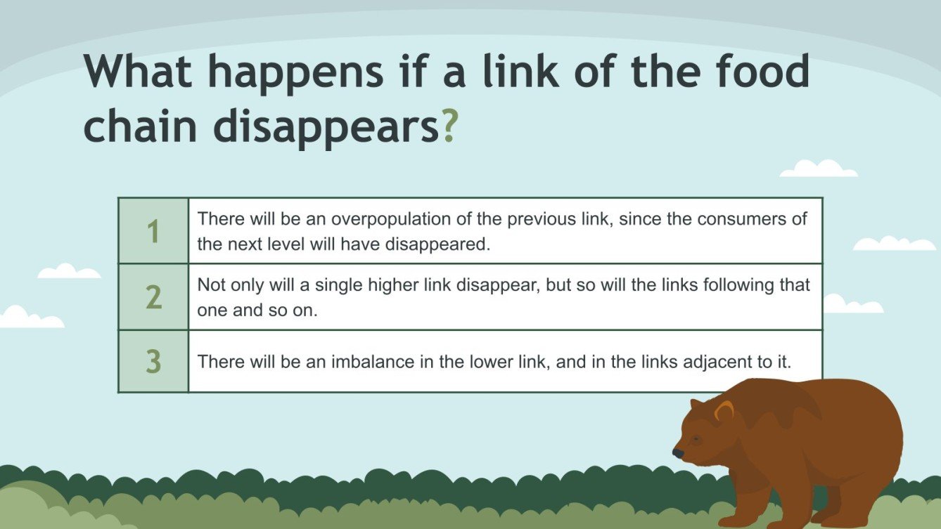 The Food Chain | Google Slides & PowerPoint