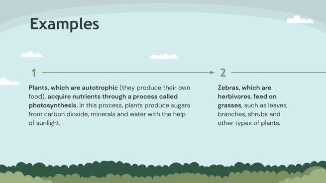 The Food Chain | Google Slides & PowerPoint