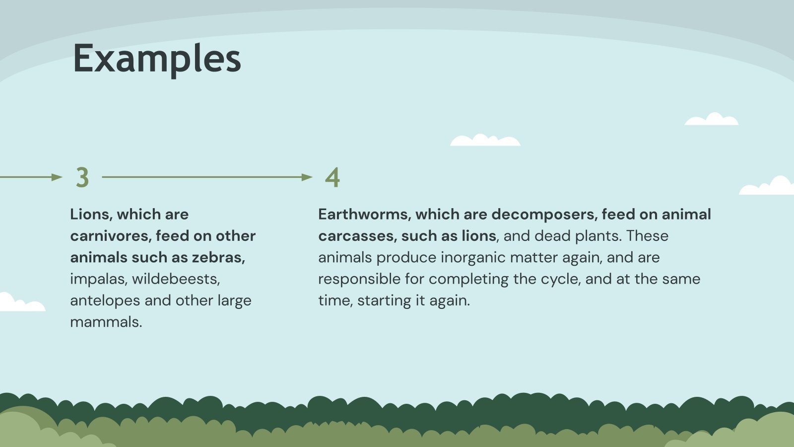 The Food Chain | Google Slides & PowerPoint