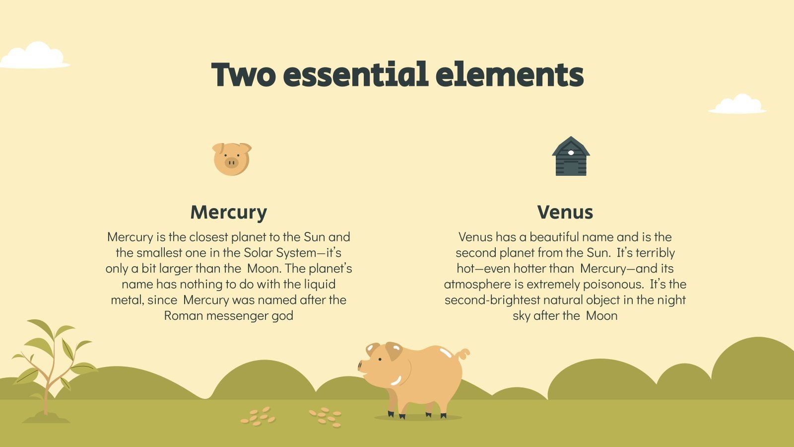 Swine Farm Business Plan | Google Slides & PowerPoint