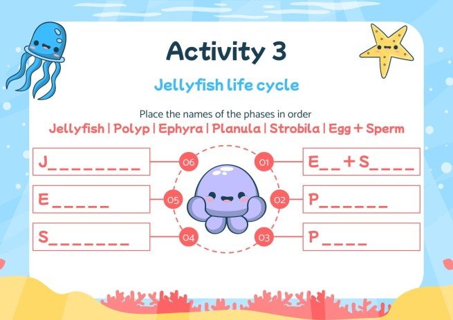 Activités de biologie pour la maternelle : Méduses