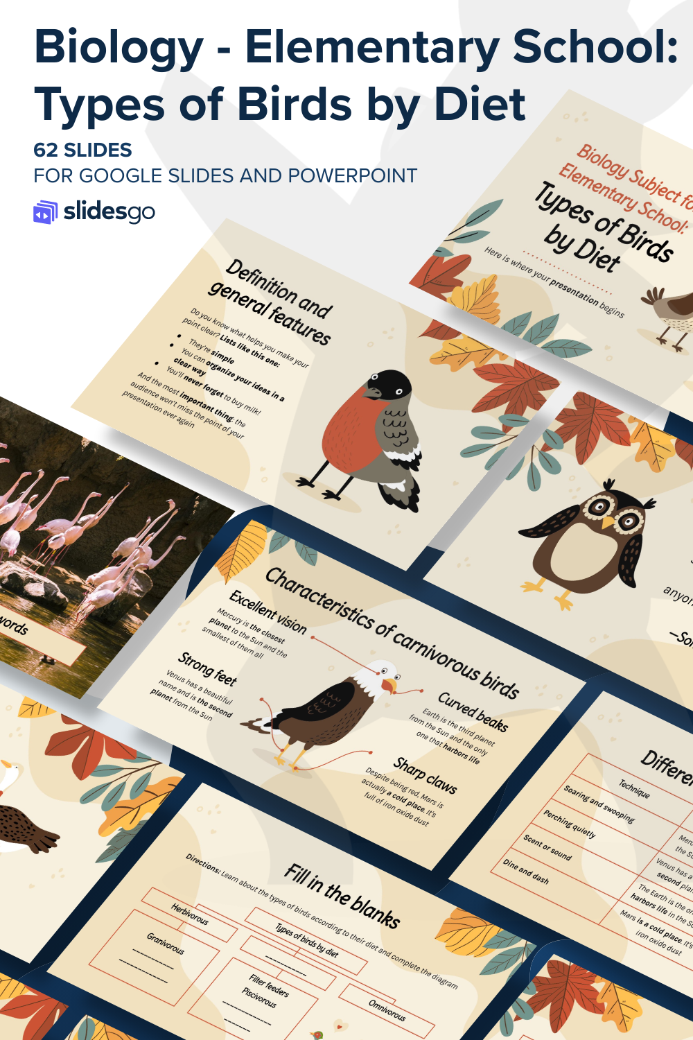 Biology Subject for Elementary: Types of Birds by Diet