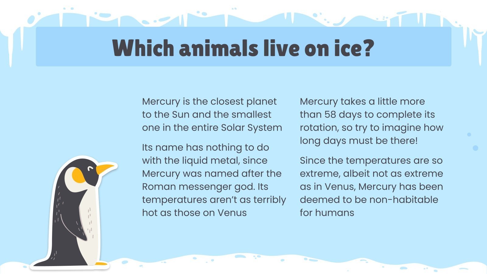 Animals of the Ice | Google Slides & PowerPoint template