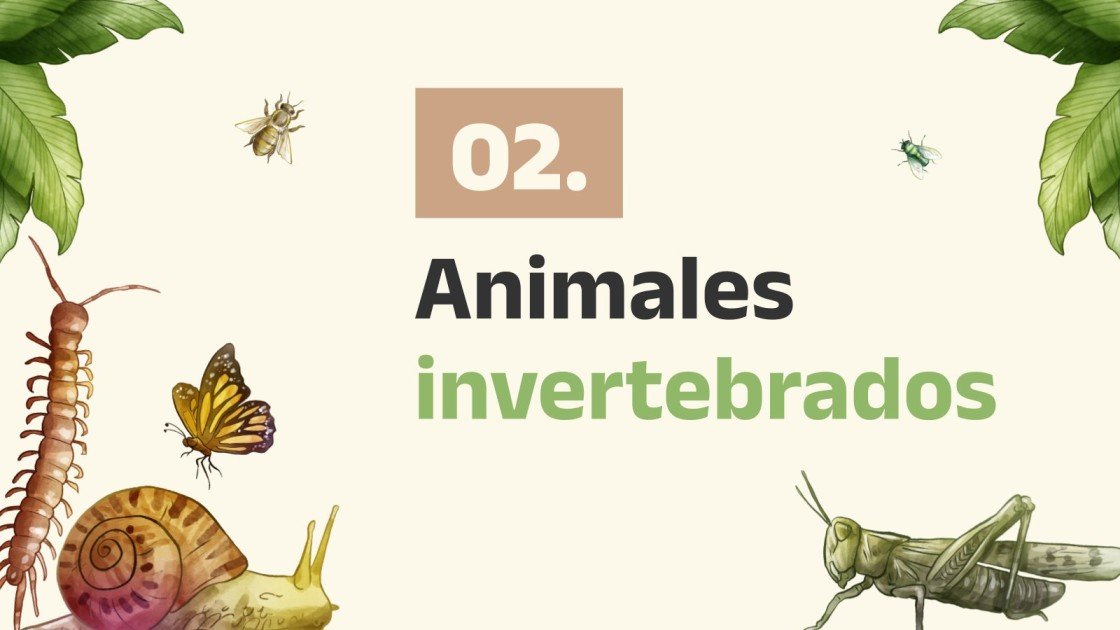 Animales vertebrados e invertebrados | Google Slides y PPT