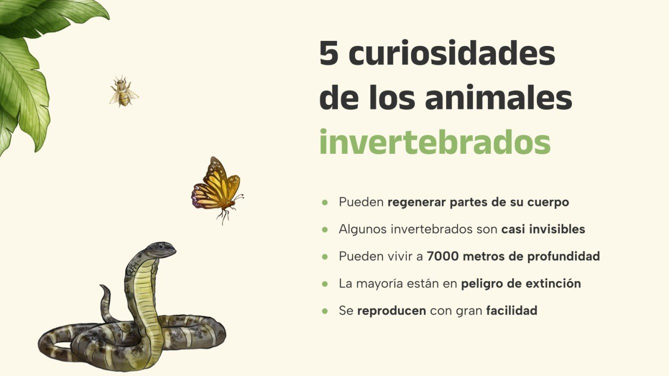 Animales vertebrados e invertebrados | Google Slides y PPT