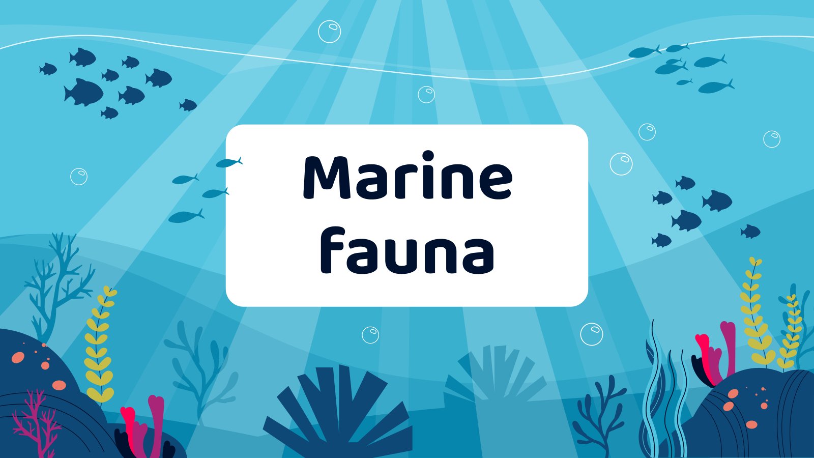 Animales del mar | Plantilla de Google Slides y PowerPoint