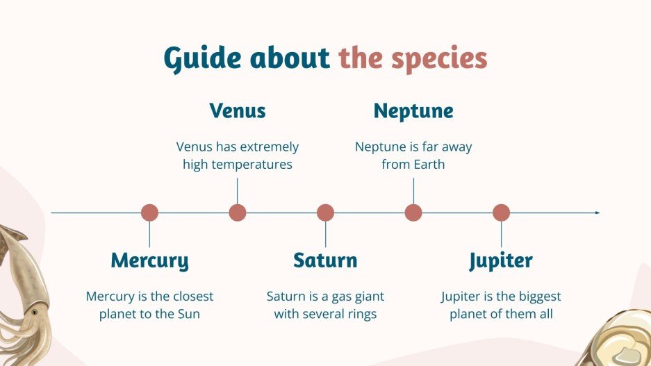 All About Mollusks | Google Slides & PowerPoint template