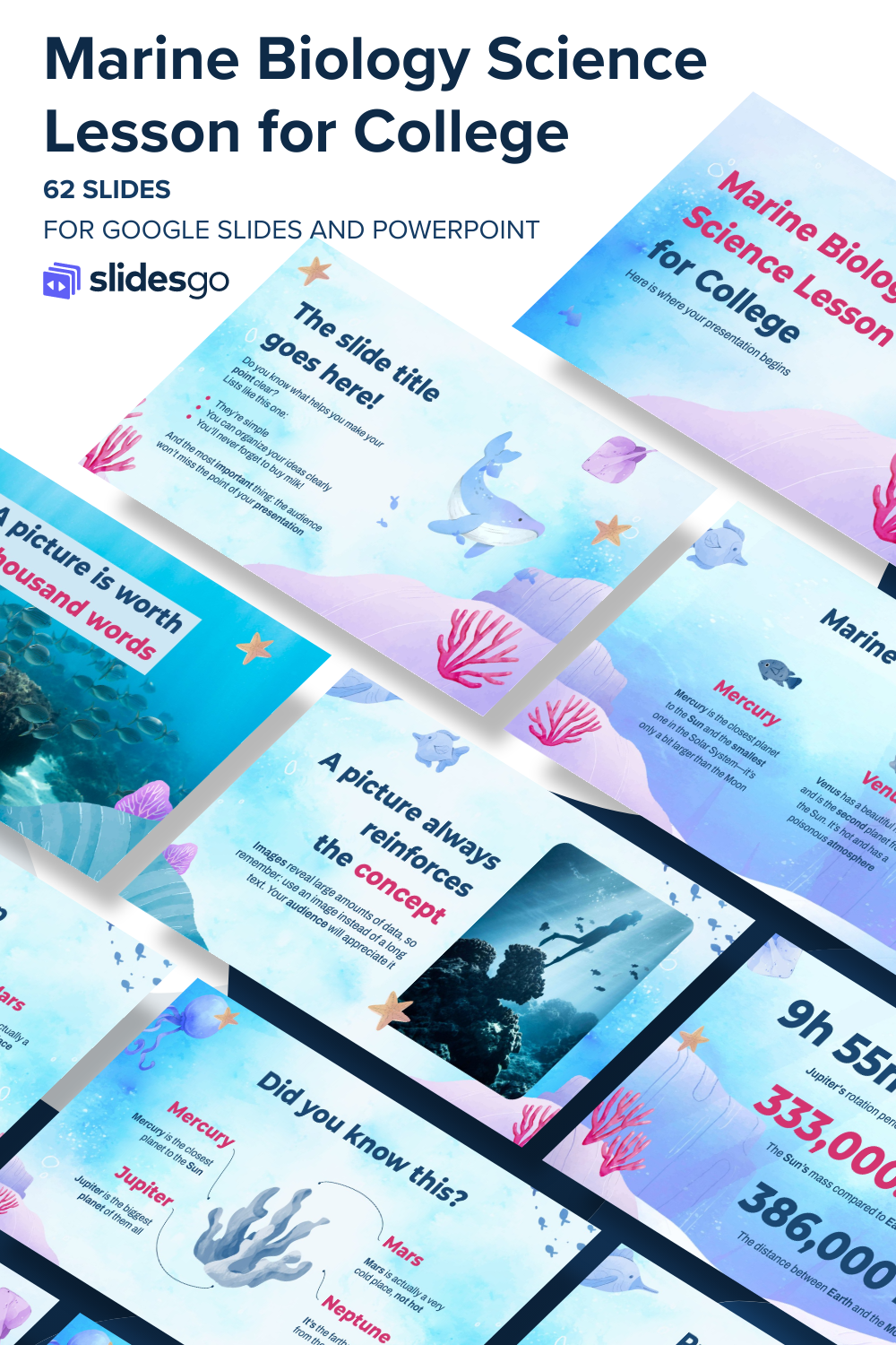 Marine Biology Science Lesson for College | Google Slides