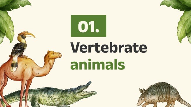 Vertebrate & Invertebrate Animals | Google Slides & PPT