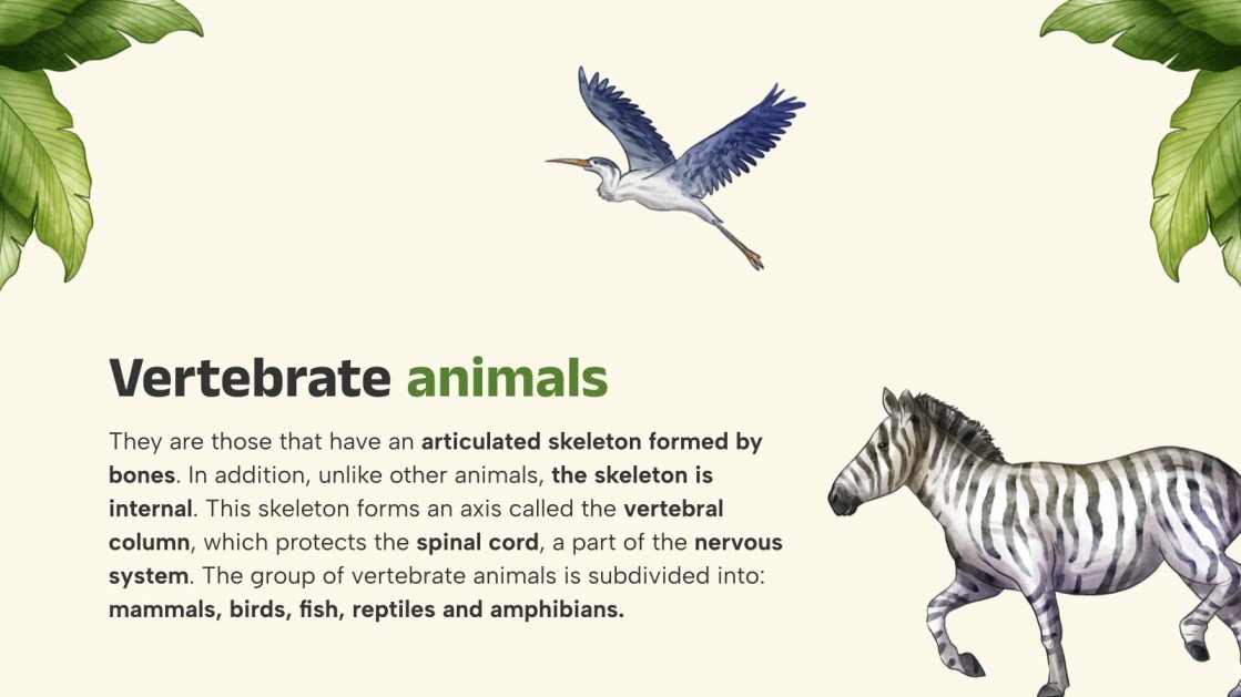 Vertebrate & Invertebrate Animals | Google Slides & PPT
