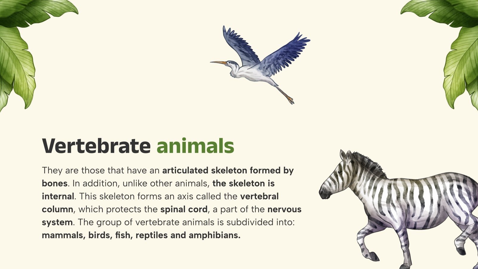 Vertebrate & Invertebrate Animals | Google Slides & PPT