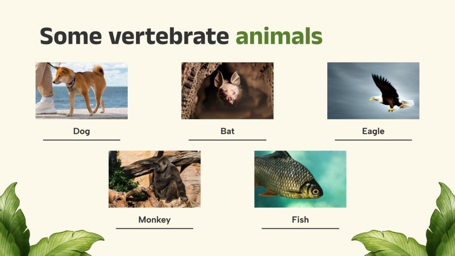 Vertebrate & Invertebrate Animals | Google Slides & PPT