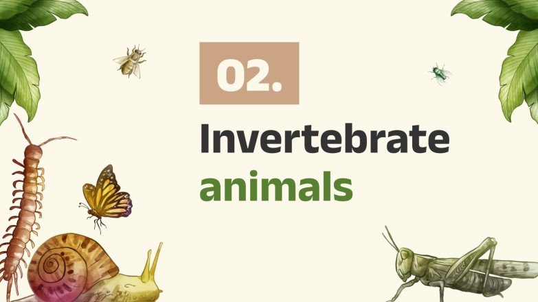Vertebrate & Invertebrate Animals | Google Slides & PPT