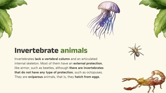 Vertebrate & Invertebrate Animals | Google Slides & PPT