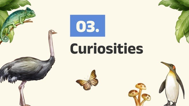 Vertebrate & Invertebrate Animals | Google Slides & PPT