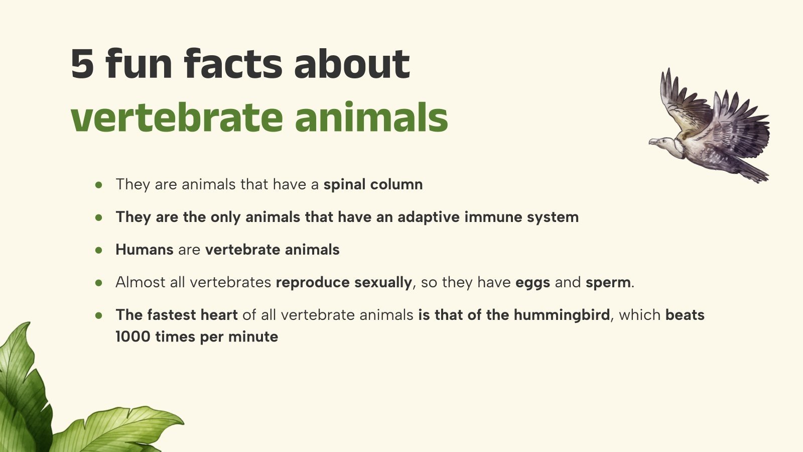 Vertebrate & Invertebrate Animals | Google Slides & PPT