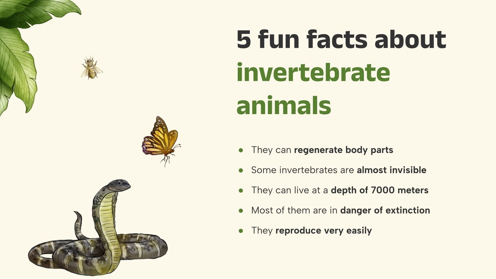 Vertebrate & Invertebrate Animals | Google Slides & PPT