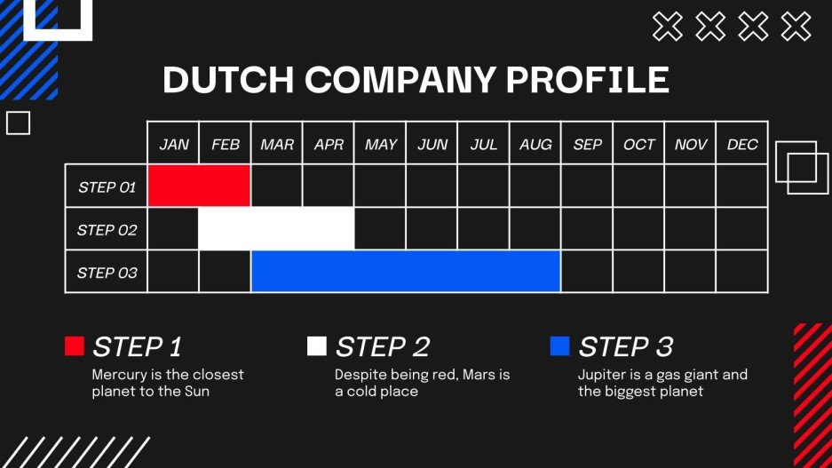 Dutch Company Profile Infographics