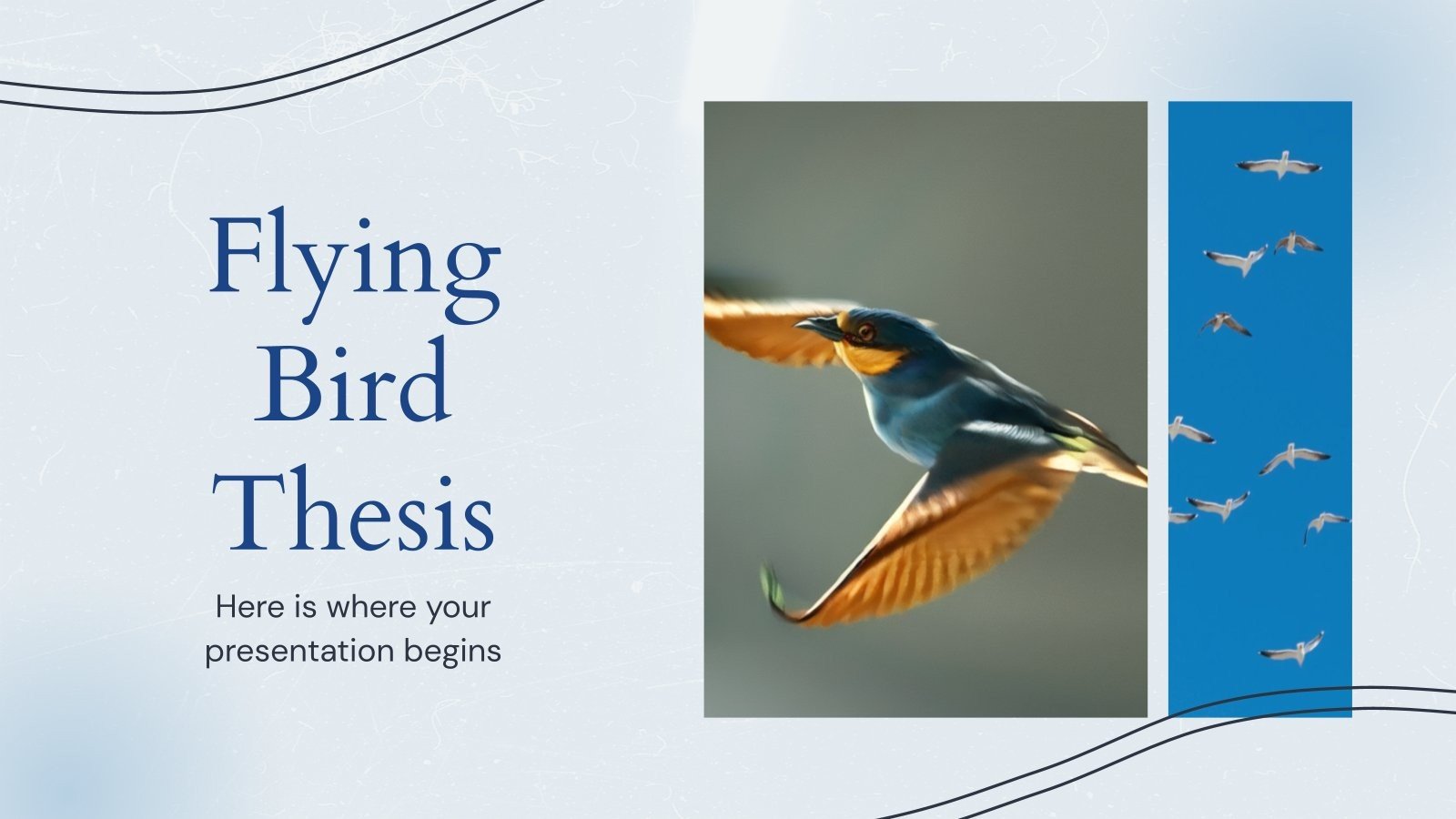 Flying Bird Thesis | Google Slides & PowerPoint