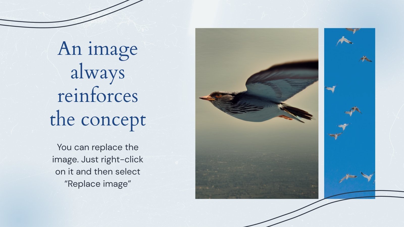 Flying Bird Thesis | Google Slides & PowerPoint