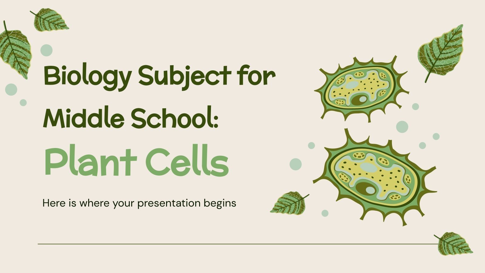 Biology Subject for Middle School: Plant Cells